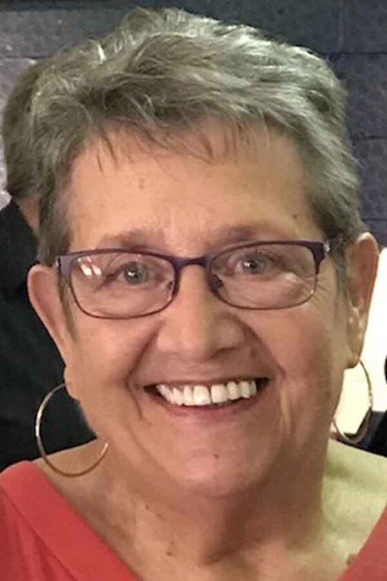 Carole A. Swansiger 1942-2022 | News, Sports, Jobs - The Vindicator